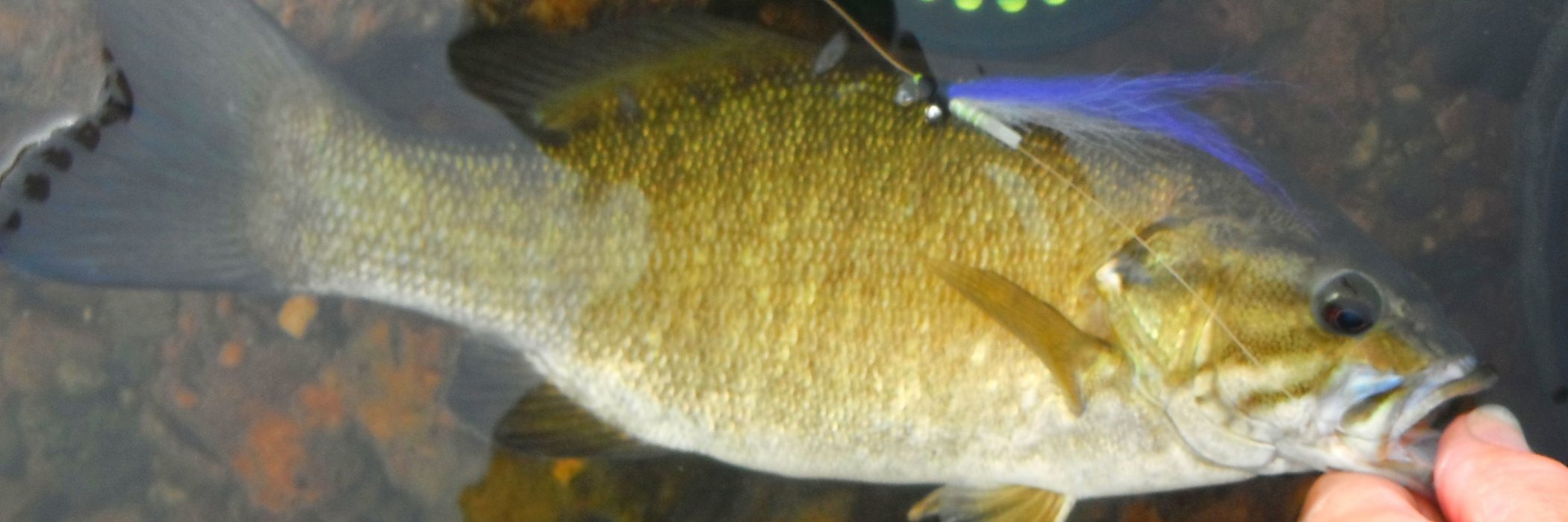 Fly Fishing Manitoba - Fly Fishing Guide Casting & Tying lessons ...