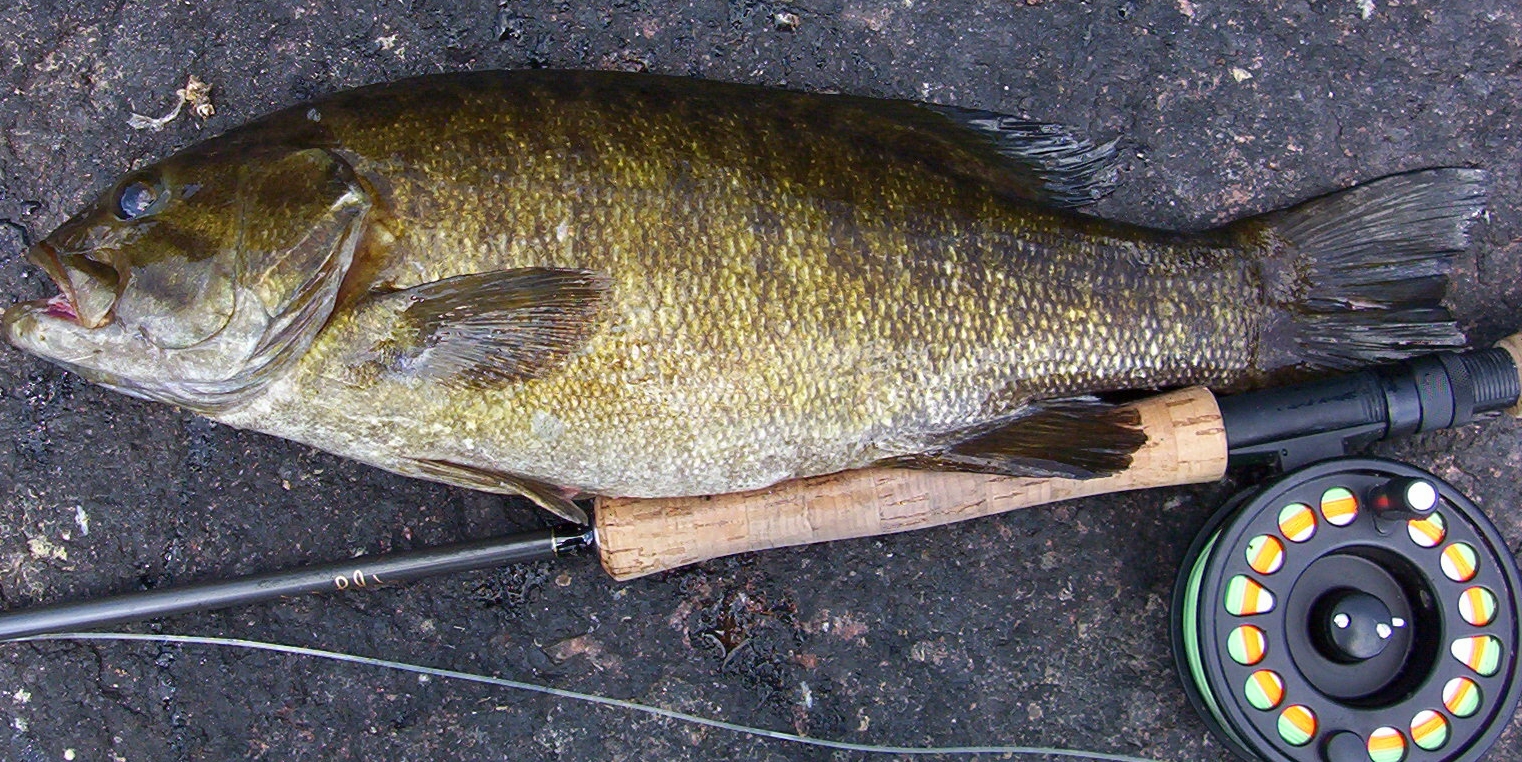 Winnipeg River Fly Fishing - Guided Trips Manitoba - Fly Guide Service