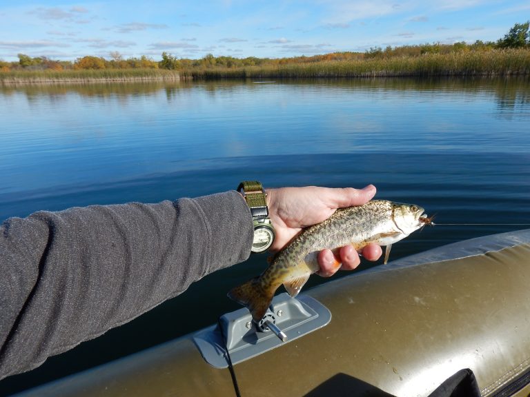 DSCN0094 - Fly Fishing Manitoba