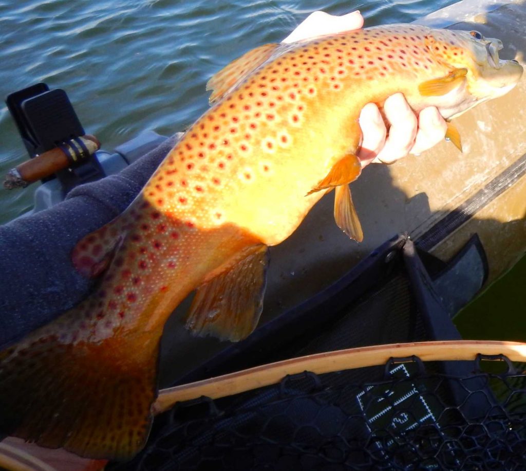 4th Fish a - Fly Fishing Manitoba